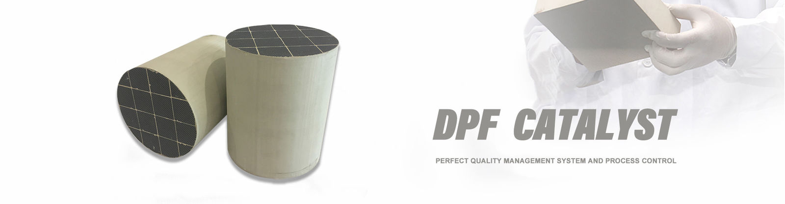 Quality Catalyst DPF & Three Way Catalytic Converter factory from China